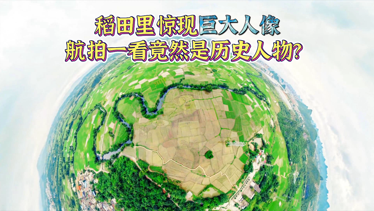 稻田里惊现巨大人像,航拍一看竟然是历史人物?