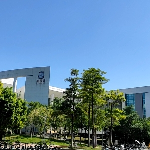 小蔡学姐 