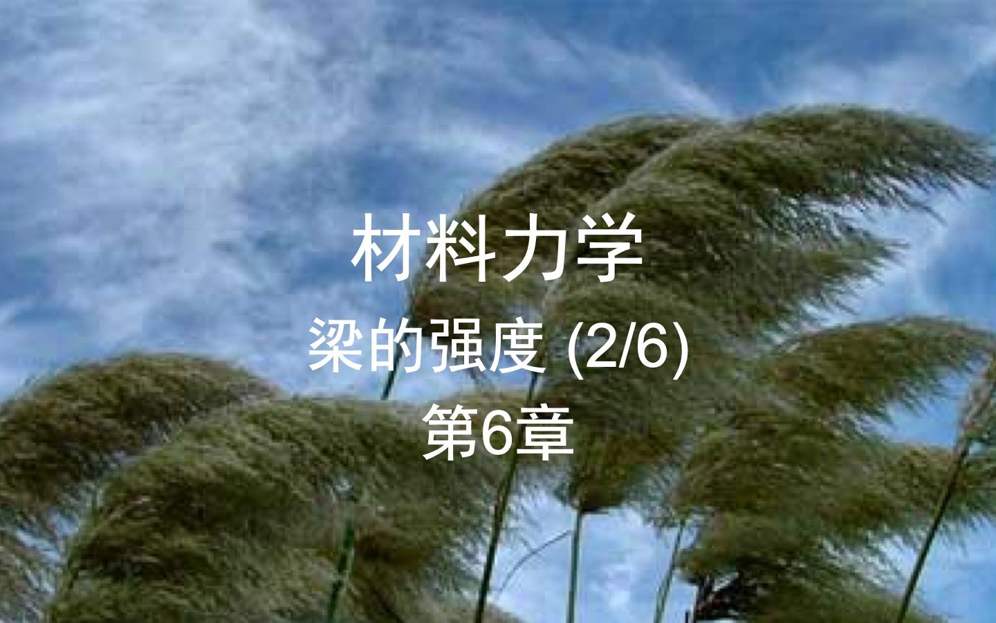 材料力学 第06章 梁的强度 02/06