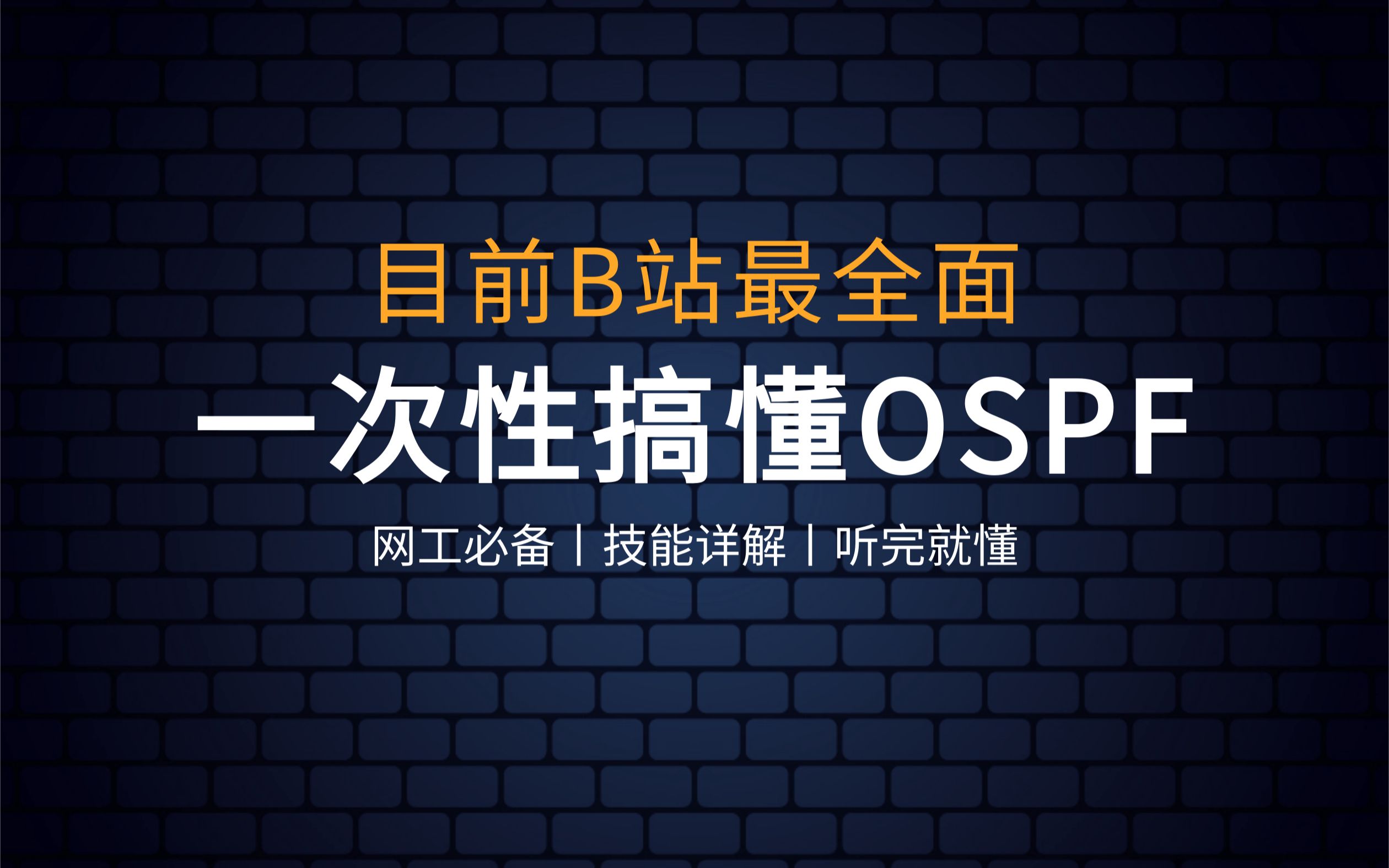 13 OSPF 的环回口子网掩码问题