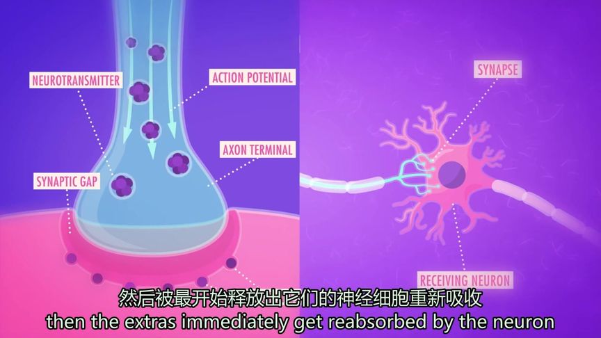 大脑是怎么运行的?是化学物质在作祟?心理学牛人来告诉你!