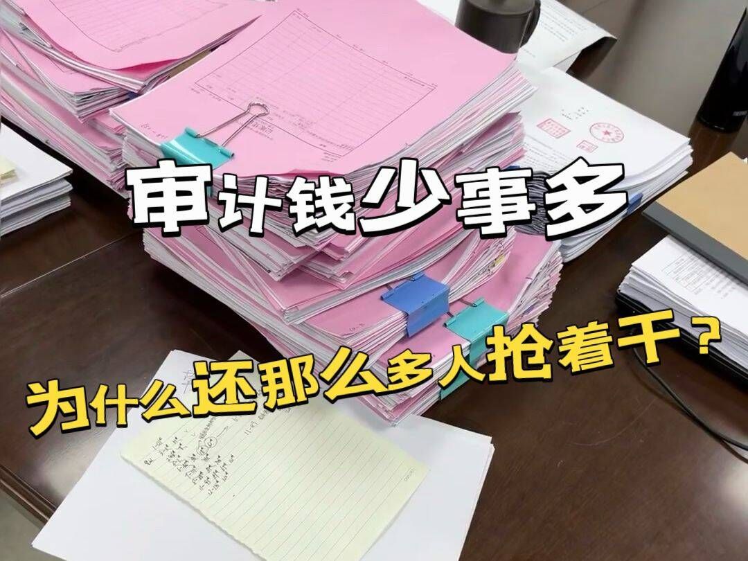 实操|审计工作辛苦,工资少,为什么还有那么多人抢着干?