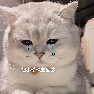 十六新漫剪 