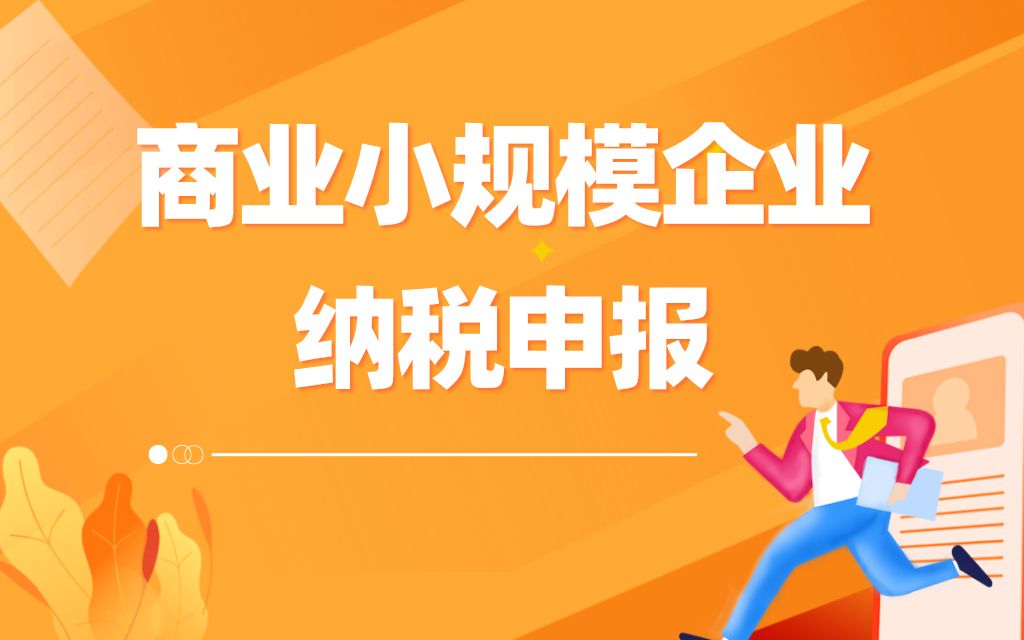 商业小规模纳税人企业纳税申报培训教程
