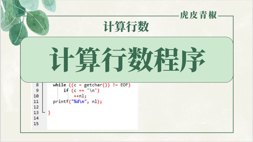 17.计算行数程序【C语言零基础教程】
