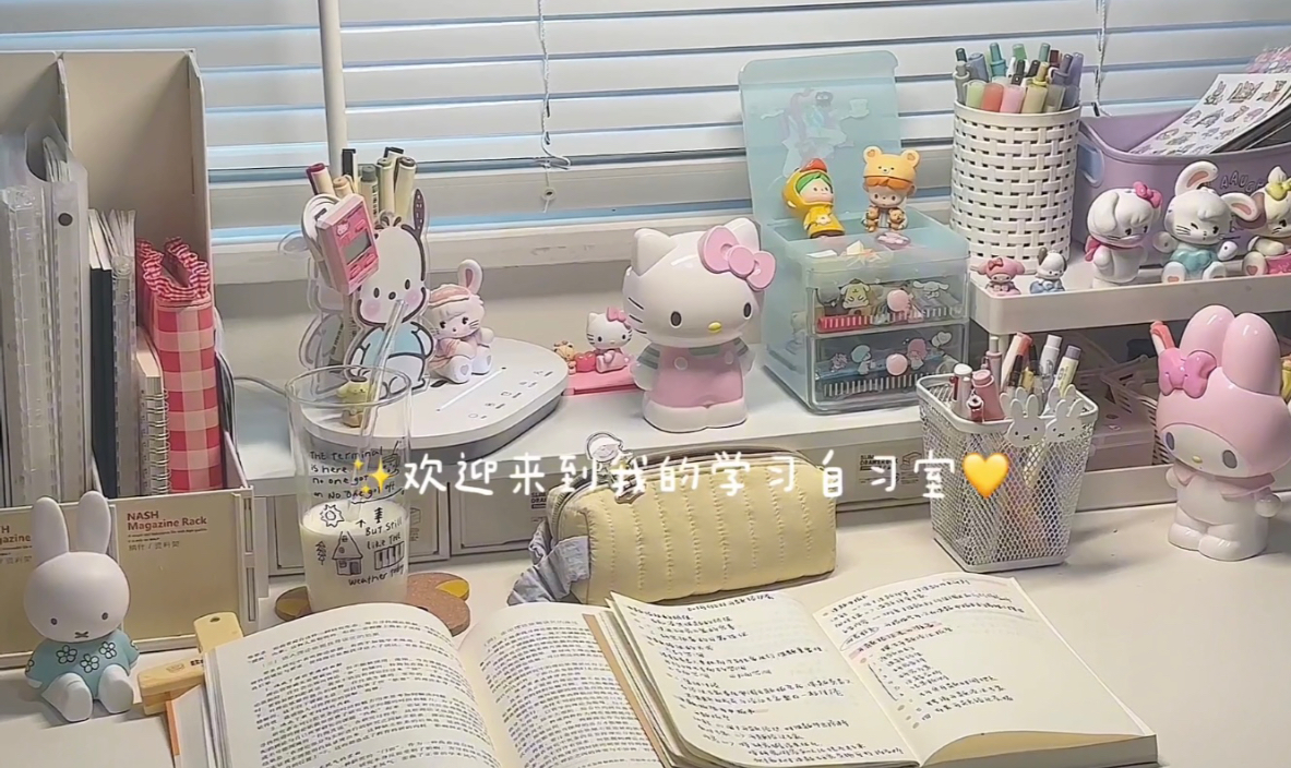 study with me |陪伴学习 |实时学习 |学习自习室 |下雨声 |白噪音 |轻音乐 |...