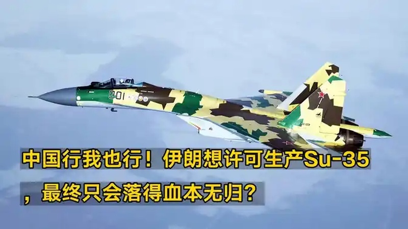 中国行我也行!伊朗想许可生产Su-35,最终只会落得血本无归