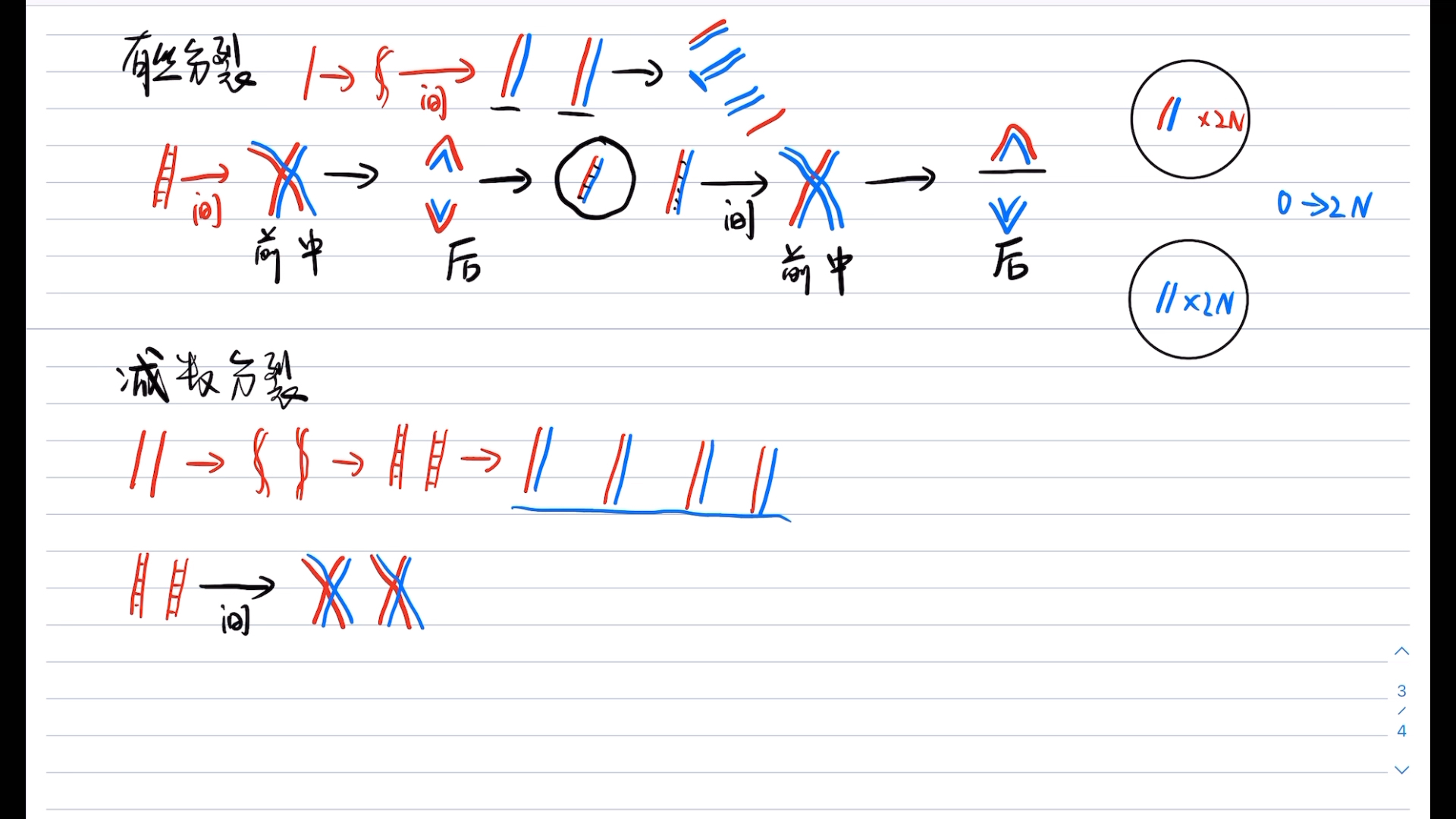 【高中生物】突破DNA复制与细胞分裂综合题