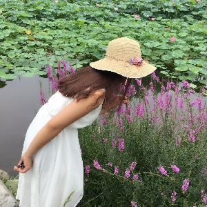 Sally英语分享 