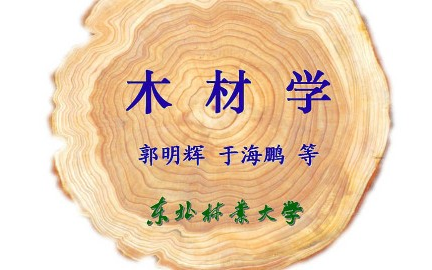 木材学_东北林业大学_主讲-郭明辉 52讲