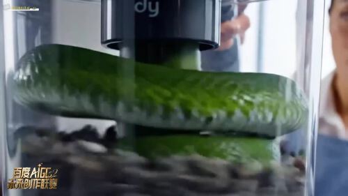 戴森吸尘器上演离心大秀!小蛇被吸入透明尘杯,竟贴着杯壁疯狂旋转!