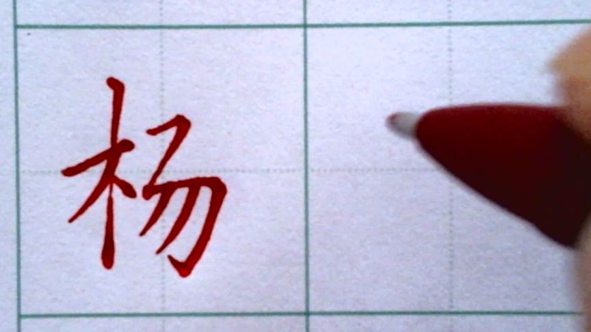 钢笔字行书楷书单字练习:杨
