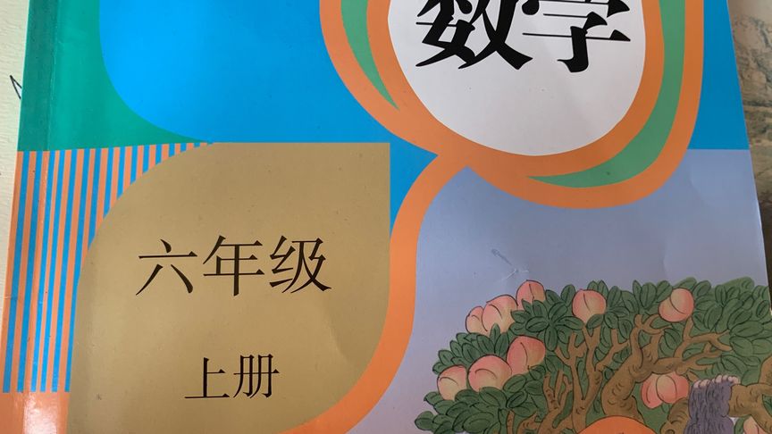 人教版六年级上册数学 课本 分数乘分数