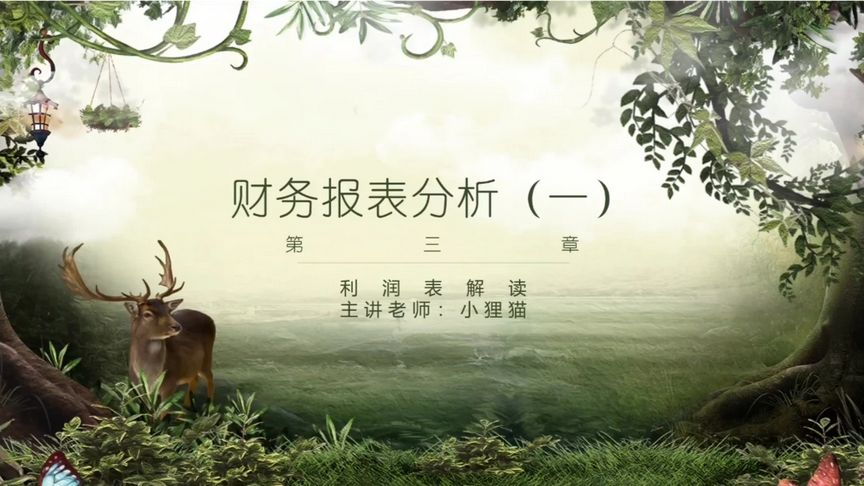 财务报表分析(一),第三章,利润表解读