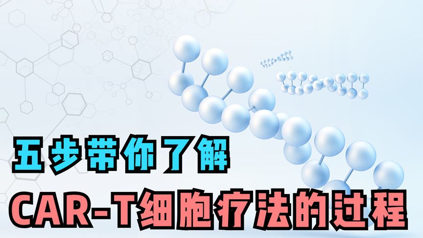 五步带你了解CAR-T细胞疗法的过程