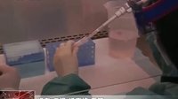 省疾病预防控制中心生物安全三级实验室启动 130529 吉林新闻联播