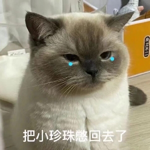 我是你的皮皮琪鸭 