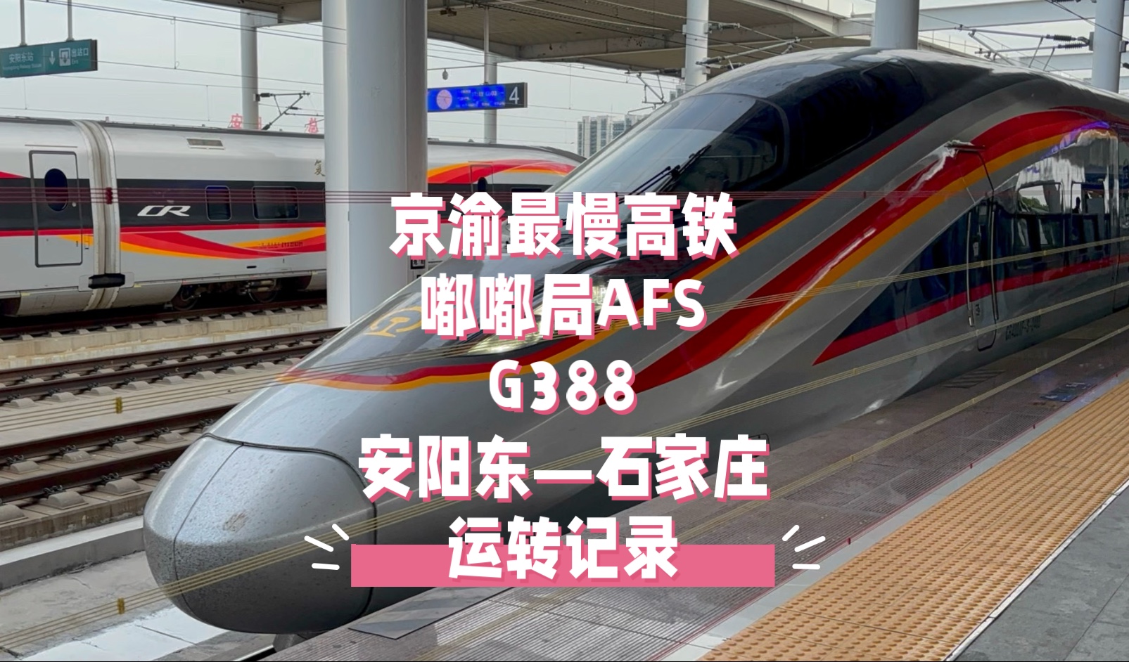 京渝之间最慢高铁列车,嘟嘟局AFS技术提升型智动G388,安阳东—...