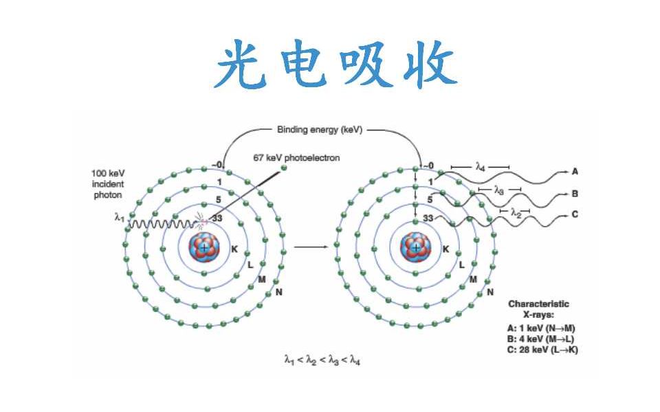 【医学成像100】48. X光的光电吸收*美国医学物理师*西安电子科技大学