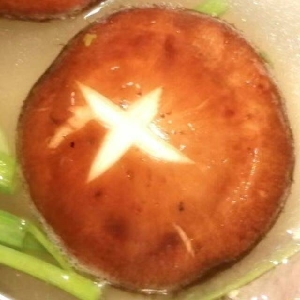 鲜香菇Fungi 