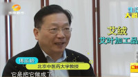 艾绒被真的具有养生保健的作用？别想多了！看看专家怎么说
