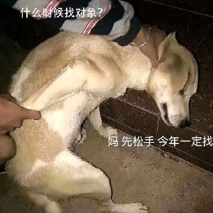 长家直销 