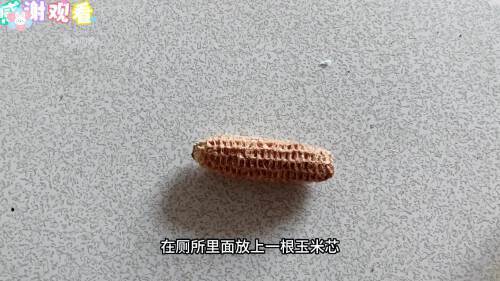 厕所放玉米芯作用,解决男女烦恼,作用特别厉害