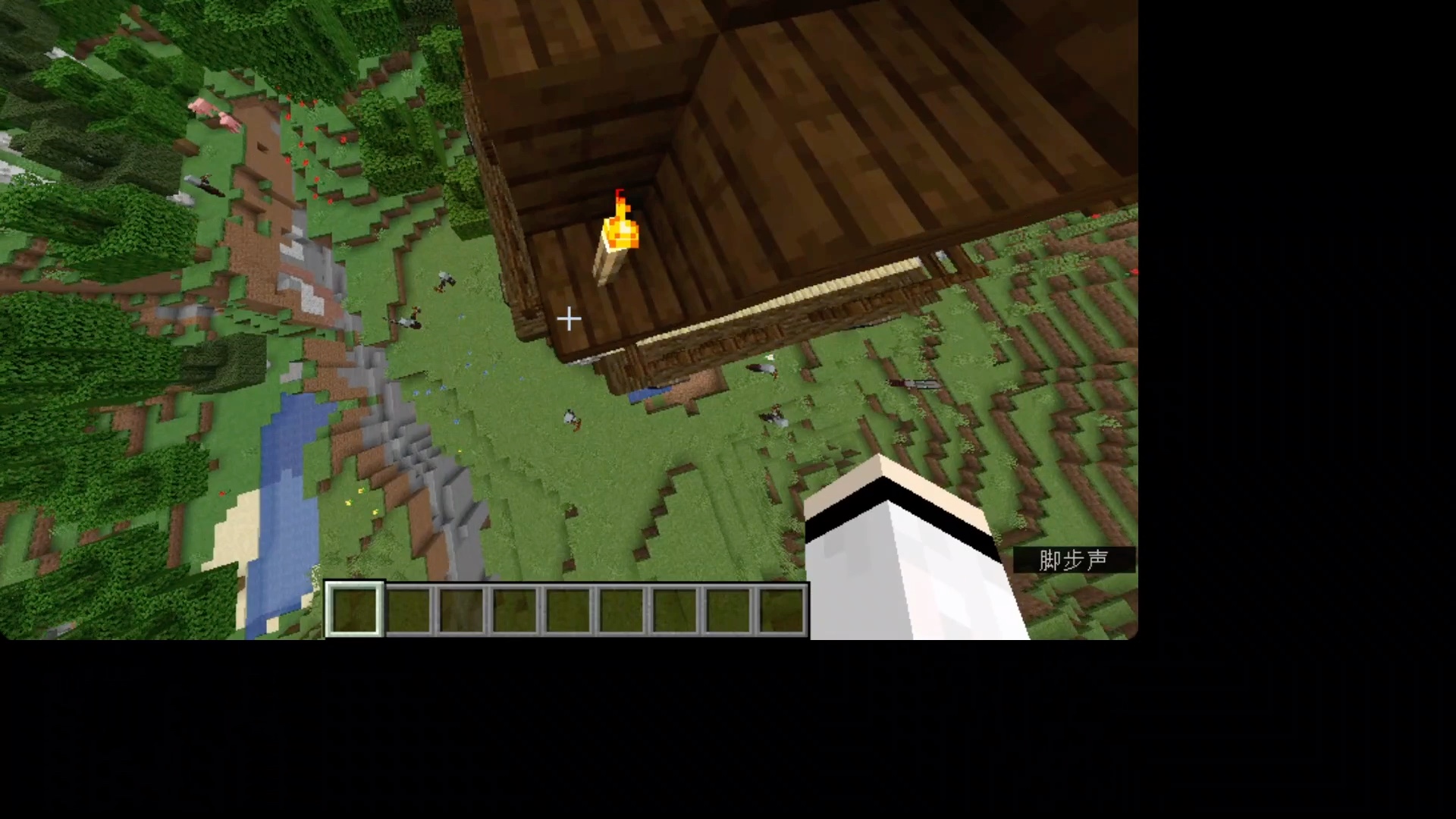 我的世界每日种子介绍02:村庄、掠夺者哨塔以及长在峡谷里的树