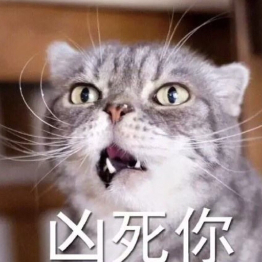 爱睡懒觉的蛇 