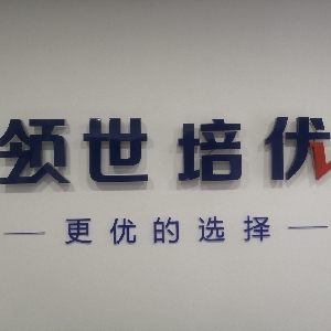 领世太原一对一 