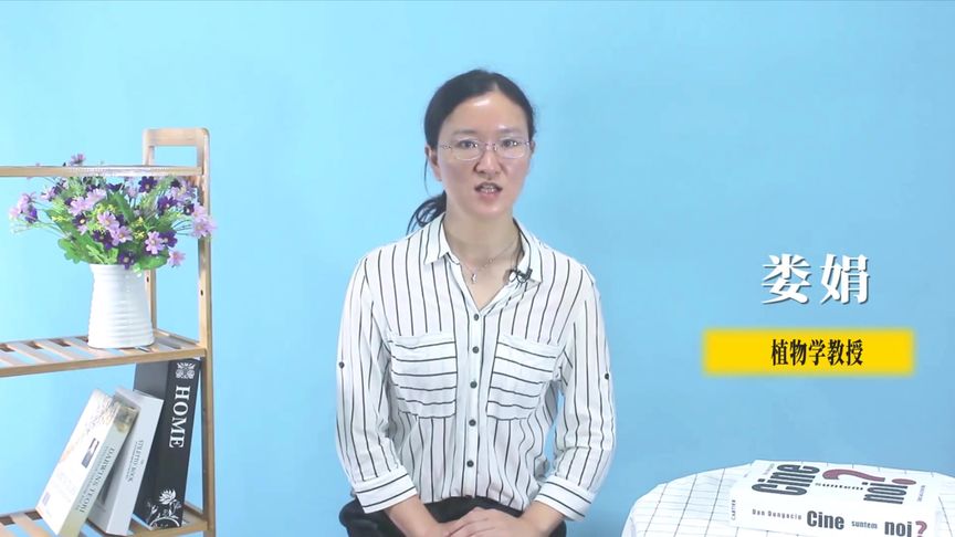 11朵玫瑰代表什么?专家这样告诉你!
