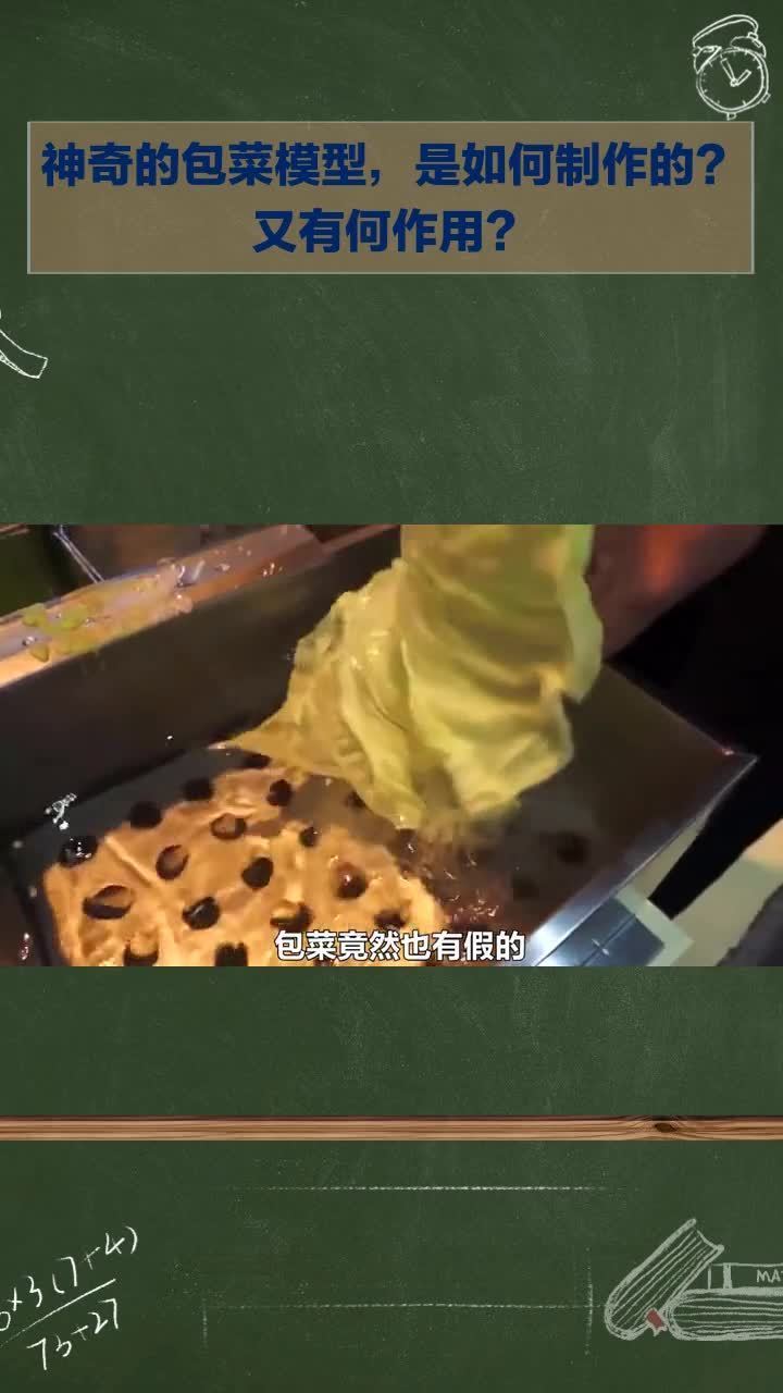 神奇包菜模型如何制作?有啥作用?