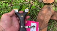 新手玩弹弓想要打得准?学会三点一线瞄准百发百中
