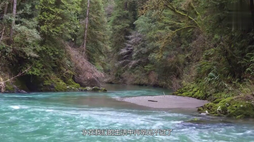 水的表面张力有多大?把1700颗钉子放进水中,有趣现象发生了!