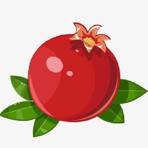 爱打瞌睡的石榴君 