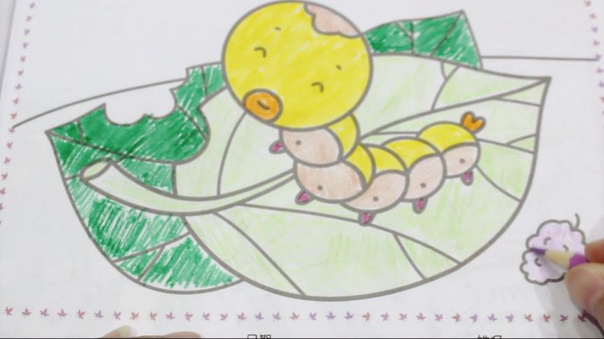 2-6岁幼儿园宝宝简笔画涂色 蚕宝宝 蜘蛛和蚕的早教故事