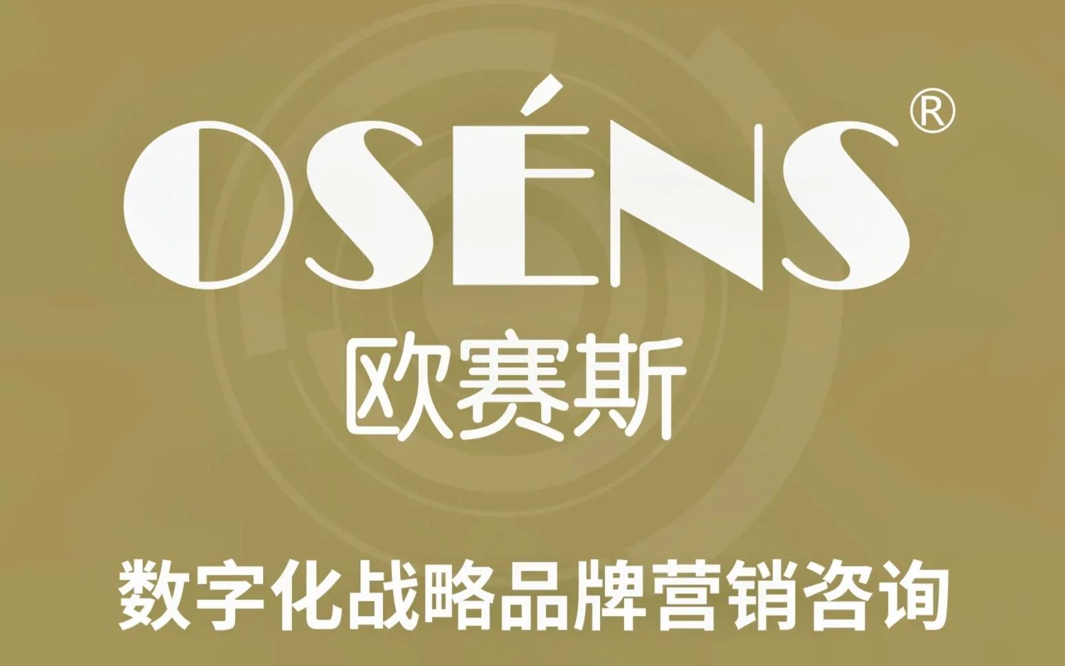 企业内部研究实战案例|欧赛斯市场调研