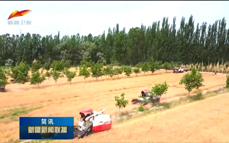 中央4884万元支持新疆现代种业提升建设