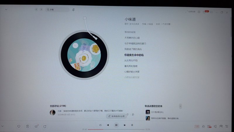 小味道-皮卡丘多多