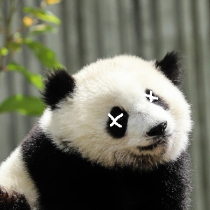 挂机凯 