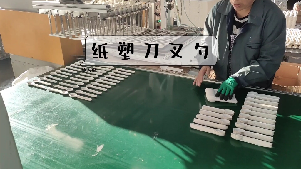 【纸塑制品开发定制】最新视频来袭,快来看看吧!