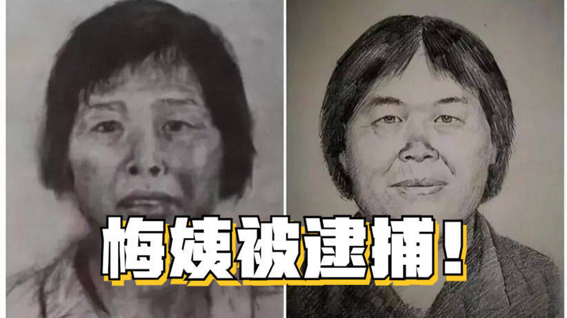 梅姨落网!无真实照片,竟靠同居男友揪出真凶?