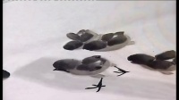 竹子水墨画教程水墨画竹子怎么画