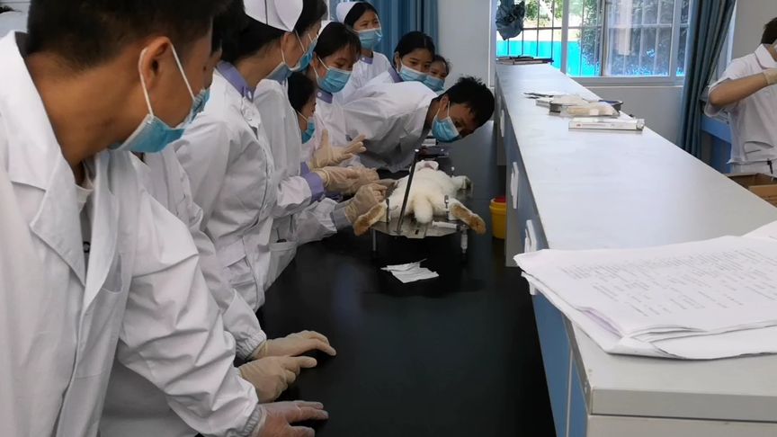 护理专业的的实训课,是这样的