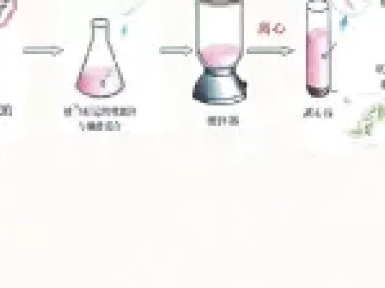 DNA是主要的遗传物质