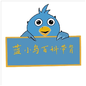 总NG的蓝小鸟鹅 