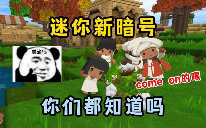 迷你世界:迷你新暗号!你能对的出来吗