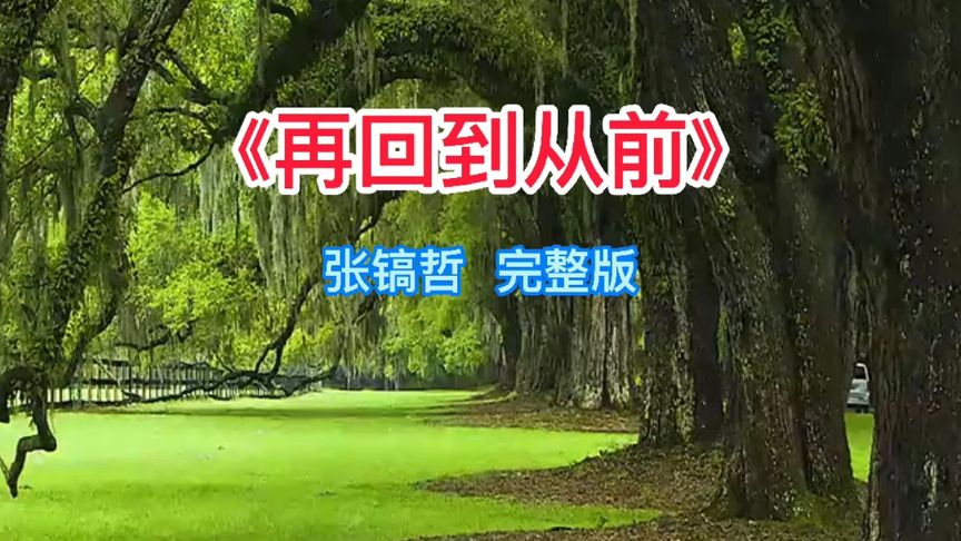 我不再轻许诺言,不再为谁而把自己改变,