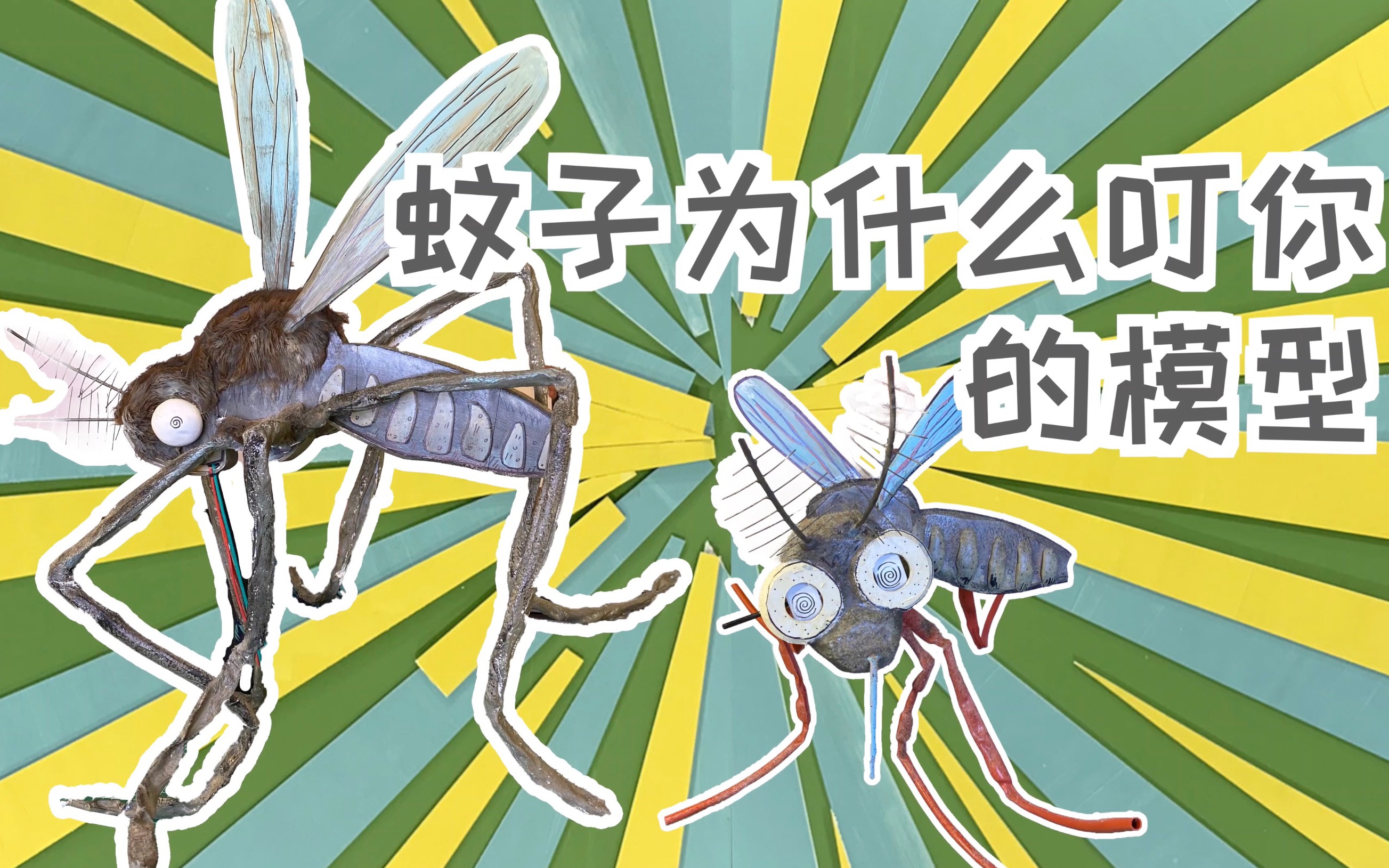 【模型师老原儿】蚊子到底爱叮什么样的人?