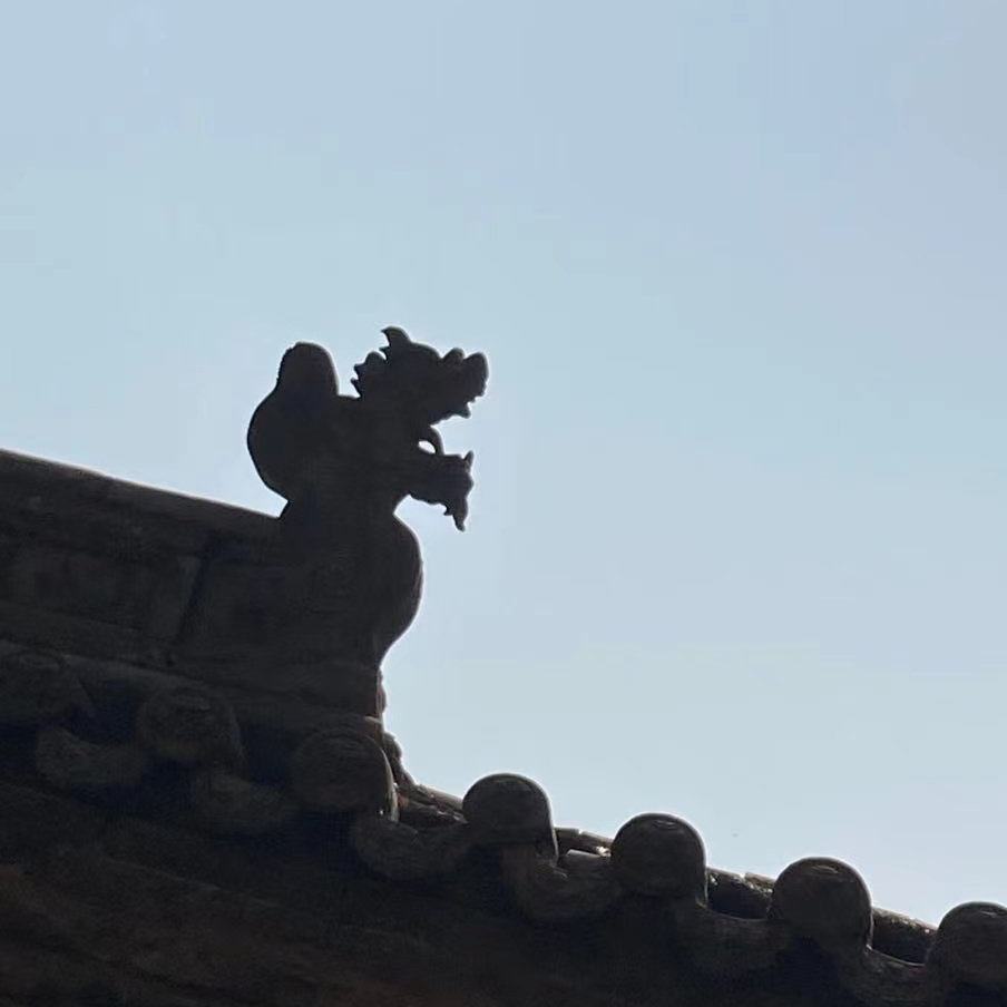 遨游的桂桂子 